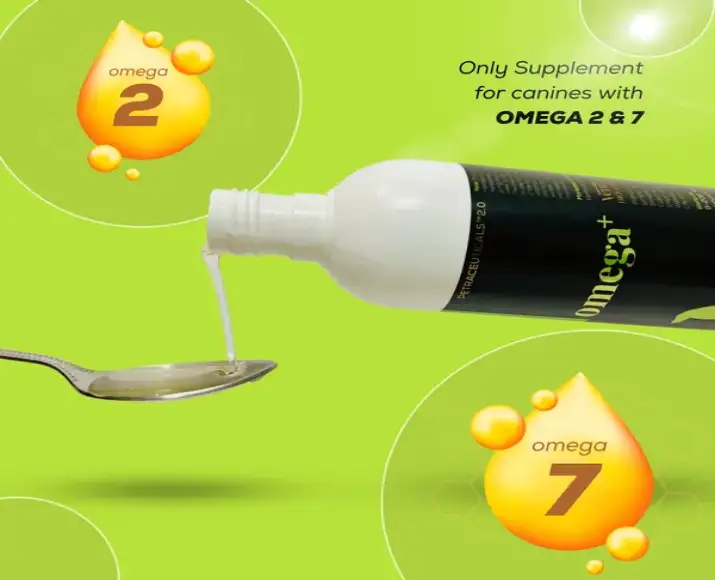 Venttura Omega 3 Plus Skin & Coat Syrup For Dogs Healthy Skin & Shiny ...