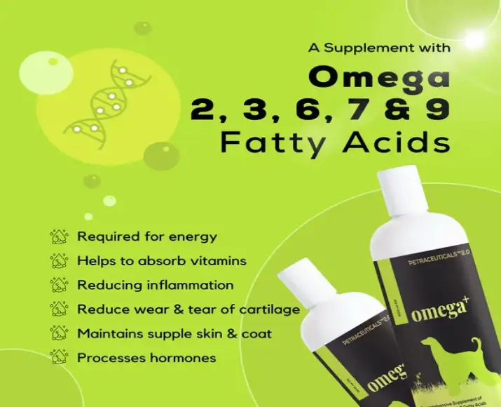 Venttura Omega 3 Plus Skin & Coat Syrup For Dogs Healthy Skin & Shiny ...